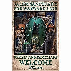 Mystical Cats Salem Sanctuary for Wayward Cats Wall Retro Tin Sign, Bathroom Decoration for Bars, Restaurants, Cafes and Bars, 8x12 Inches New Year, Metal Sign