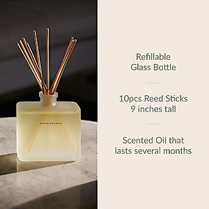 Archipelago Botanicals Charleston Reed Diffuser, Home Fragrance Reed Diffuser, Includes Fragrance Oil, Frosted Glass Vessel & 10 Diffuser Reeds, Perfect for Home, Office or Gift, 7.6 Fl Oz