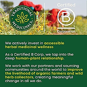 Traditional Medicinals Tea, Organic Chamomile & Lavendar, Stress Relief, 96 Tea Bags (6 Pack)