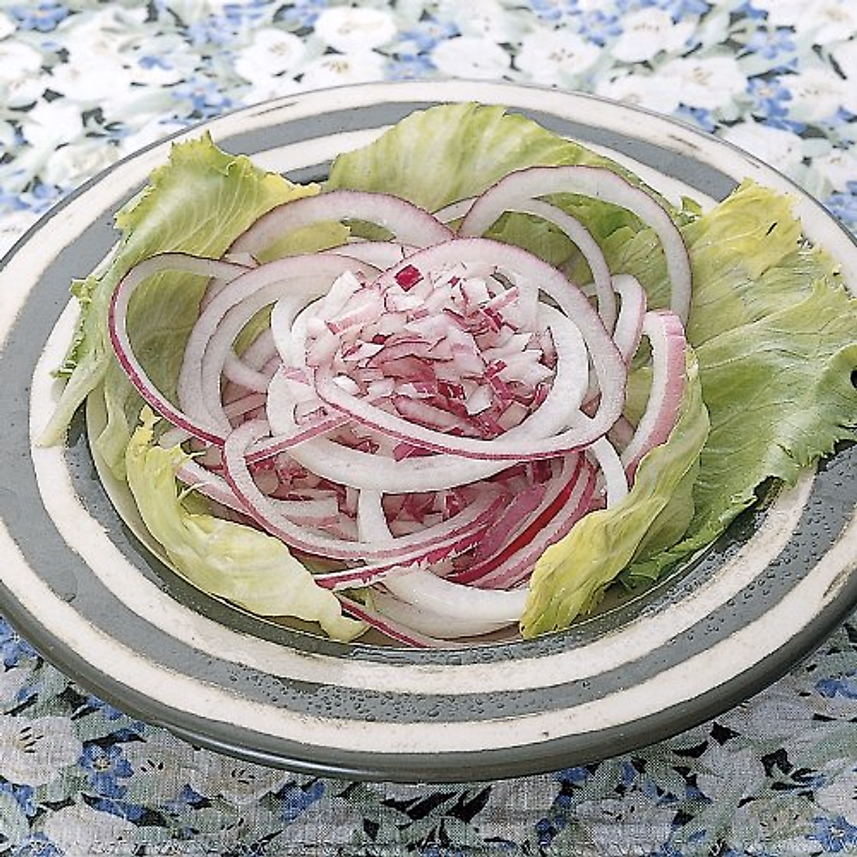 Benriner Vegetable, One Size, Cooker Helper Slicer