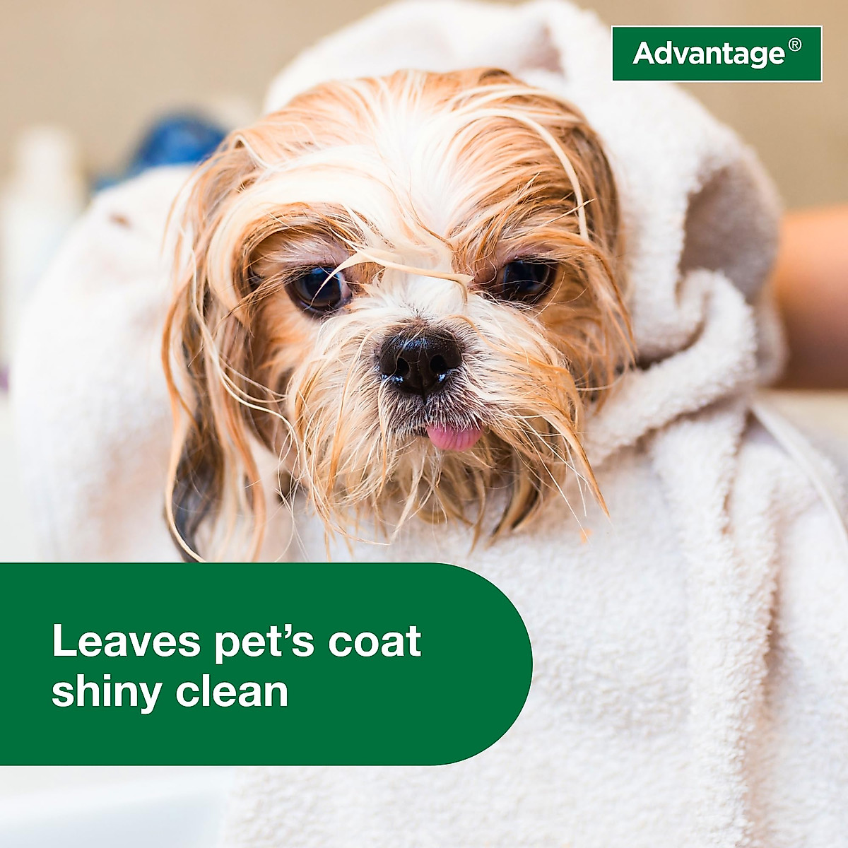 Advantage Dog Flea & Tick Shampoo for Puppies & Adult Dogs | Kills Fleas & Ticks | 8 oz.