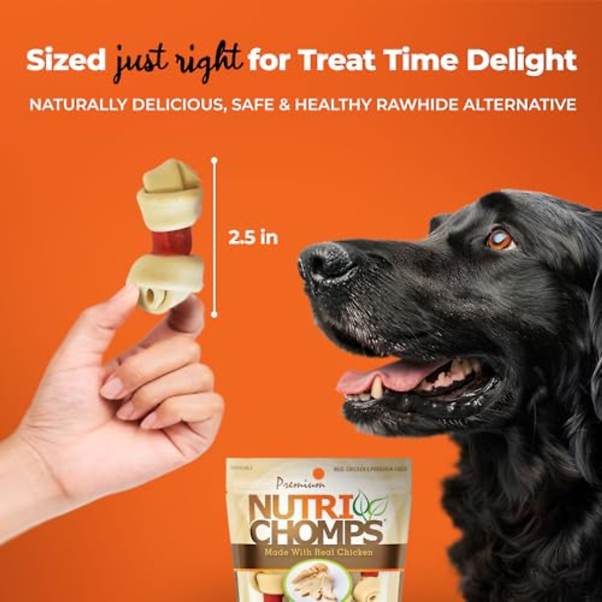 NutriChomps Dog Chews, 2.5-inch Knots, Easy to Digest, Long Lasting, Rawhide-Free Dog Treats, 8 Count, Real Chicken flavor