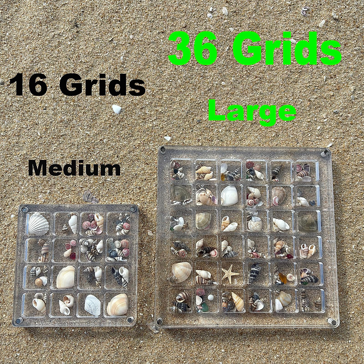 XronSlute Large Acrylic Magnetic Seashell Display Box,DIY Seashell Display Box,Clear Storage Box for Seashell,Gemstones,Nail,Jewelry (1Pc 36 Grids Large)