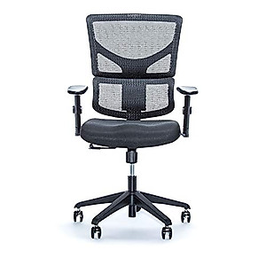X-Chair X-Basic Task Chair, Black Flex Mesh - Ergonomic Office Seat/Adjustable Backrest/Foam Seat/Relaxed Recline/Perfect for Office or Home Desk