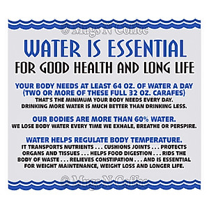 32 oz W.E. Insulated Cold Drink Hospital Mug with Red Lid - Water Essential Travel Mug