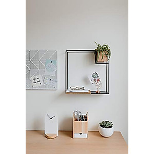 Umbra Cubist Floating Shelf with Built-In Succulent Planter – Modern Wall Décor and Geometric Display Shelf for Books, Candles, Mementos, Photos, Indoor Plants and More! | Large, Black