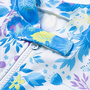 Baby/Toddler Girl One Piece Swimsuit Long Sleeve with UPF 50+ Sun Protection (Pink3, 9-12 Months)