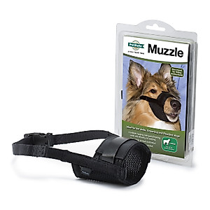 PetSafe Dog Muzzle - Large, Black - Comfortable Padding - Adjustable Sizing for Small, Medium and Large Dogs - Prevents Biting - Allows Room to Pant - Perfect for Visits to The Vet or Groomer
