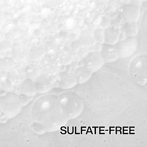 Redken Frizz Dismiss Shampoo | For Frizzy Hair | Smooths Hair & Manages Frizz