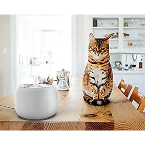 Nugget Lite Pet Water Fountain | 2.5 L Drinking Fountain for Cats and Dogs (White)