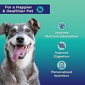 Innovative Pet Lab Digestion & Detox at-Home Test Kit - Expert Panel Insights for Dog's Microbiome and Digestive Health - Essential Pet Supply for Overall Wellness