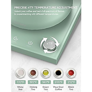 Electric Kettle, Offacy Gooseneck Kettle with Temperature Control, Pour Over Kettle & Coffee Kettle, 100% Food Grade 304 Stainless Steel, Tea Kettle 1200 Watt Quick Heating, 0.9L, Light Green