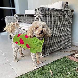 Queenmore Knit Sweater for Dogs, Turtleneck High Elastic Heart Pattern Festival Knitwear with Hind Leg Strings for Small and Medium Dogs (Green,L)
