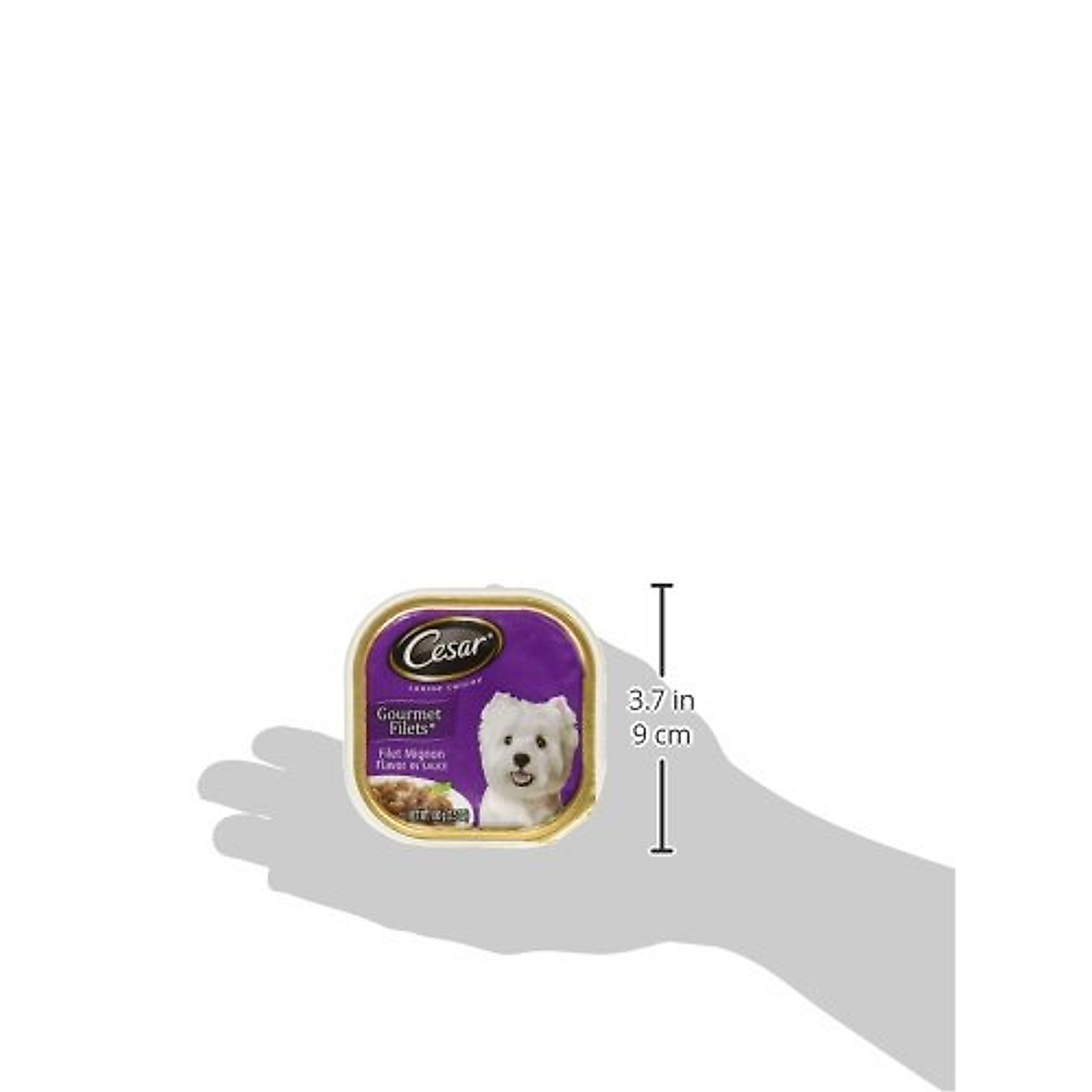 CESAR Adult Soft Wet Dog Food Filets in Gravy, Filet Mignon Flavor, 3.5 oz. Tray