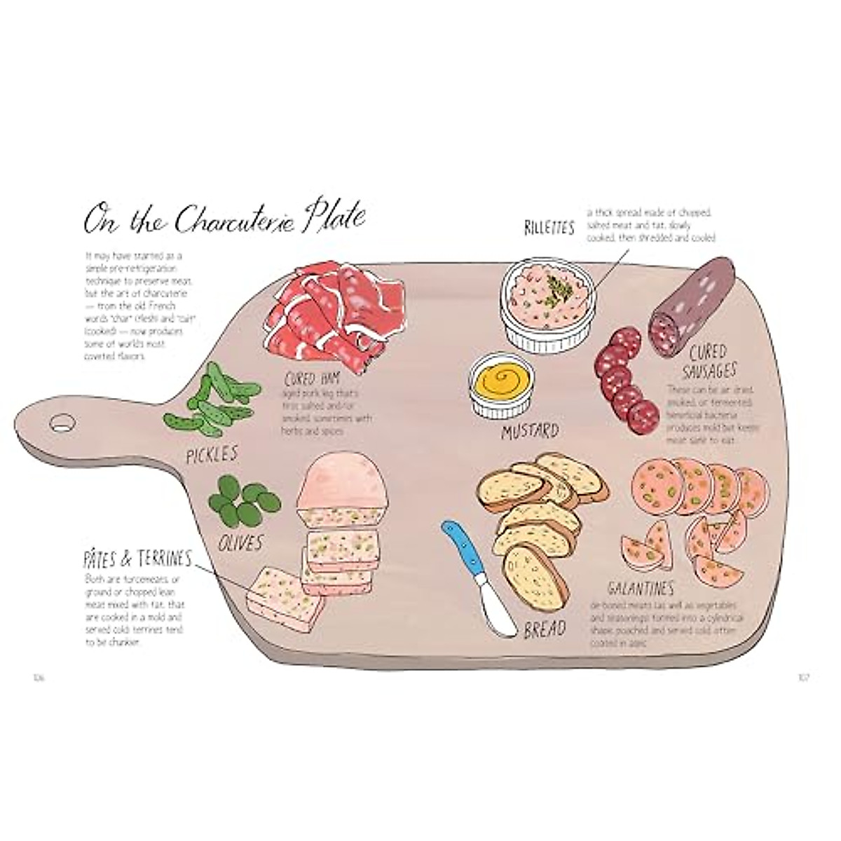 Food Anatomy: The Curious Parts & Pieces of Our Edible World