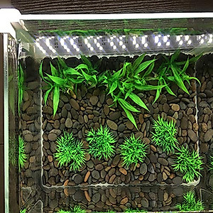 Smoothedo-Pets Aquarium Plants Fish Tank Decorations Small Size/10pcs Set Plastic Artificial Plant Goldfish Waterscape Fish Hides for Small Fish Tank/Bowl (10pcs-B-Set)