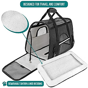 PetAmi Airline Approved Pet Carrier for Cat, Soft Sided Dog Carrier Small Dog, Cat Travel Supply Accessories Indoor Cat, Ventilated Pet Carrying Bag Medium Large Kitten Puppy, Small Heather Dark Gray