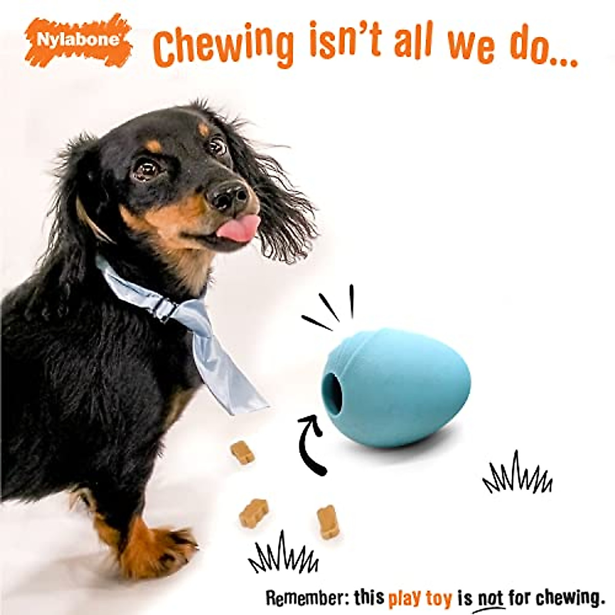 Nylabone Eggi Interactive Fillable Dog Chew Toy - Lightweight Bouncy Floatable Dog Treat Toy for Creative Play & Dog Exercise, Blue, Large/Giant - Up to 50 lbs. (1 Count)