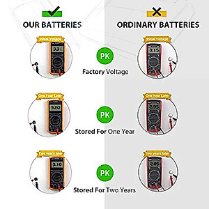 LiCB CR2025 3V Lithium Battery(10-Pack)