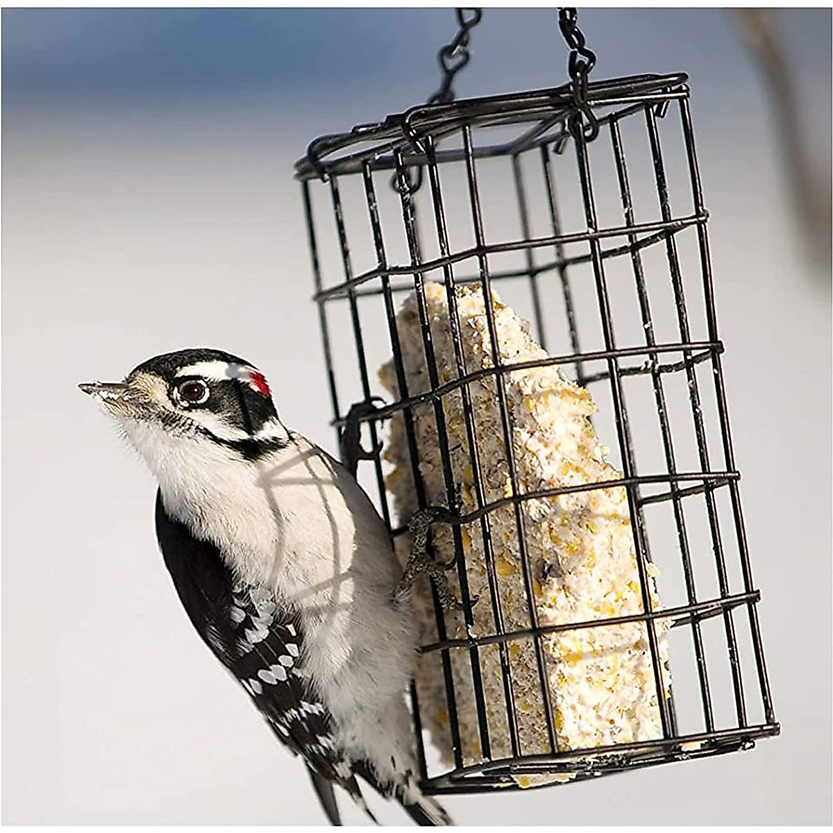 Pack of 2 Bird Suet Cake Feeder for Hanging Outside Metal Garden Yard Wildbird Woodpeckers Feeding