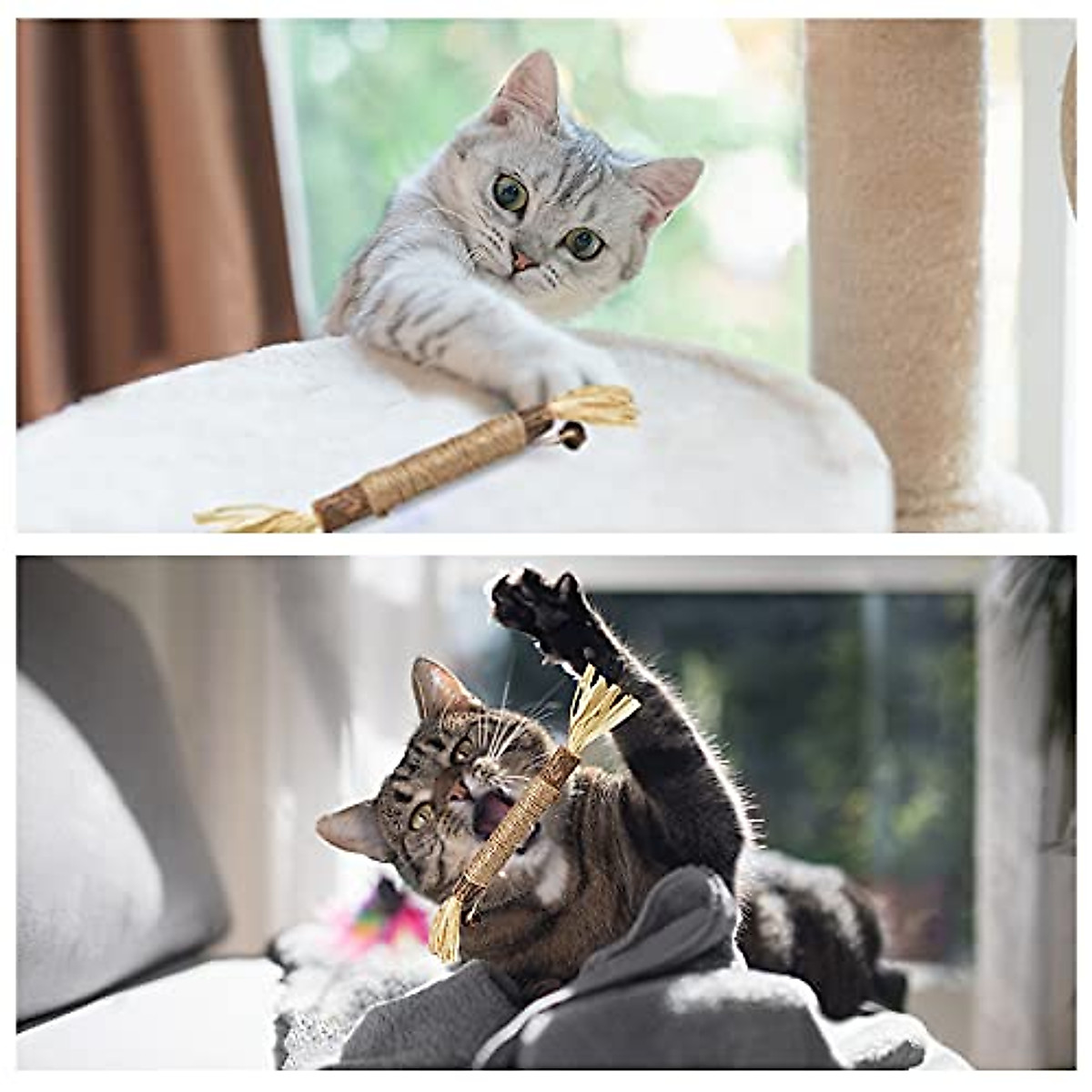 HomeDoReMi Cat Toy 5 Packs , King Size Cat Chew Toy, Kitten Teething Toys, Cat Chew Toys for Aggressive Chewers, Silvervine Chew Sticks for Cats, Catnip Sticks,Calm Cat Anxiety and Stress