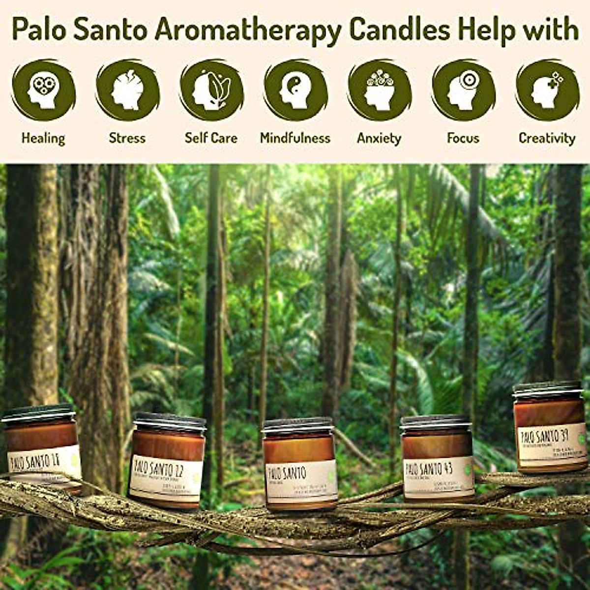 Maison Palo Santo Raw Genuine Palo Santo Essential Oil from Ecuador Aromatherapy Candle 9oz Handcrafted in USA with Natural Soy Wax for Purification & Cleansing Free Palo Santo Stick Included