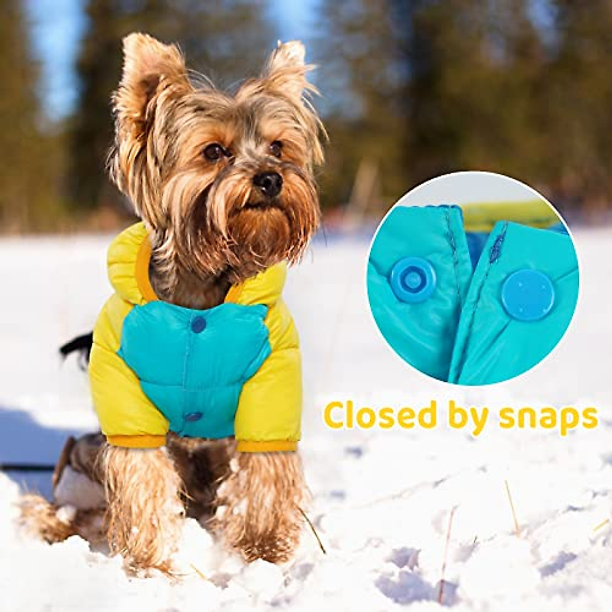FUAMEY Dog Winter Coat,Puppy Puffer Jacket Warm Padded Pet Snow Vest Cute Windproof Dog Clothes Doggy Warm Waterproof Outdoor Lightweight Small Dog Hoodie,Chihuahua Poodles Yorkshire Pet Apparel