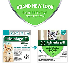 Bayer Advantage II Kitten Flea Treatment for Kittens, 2 - 5 lb, 4 doses