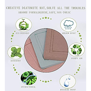 Sunny Eli Diatomite Cup Coaster Mat 2 Pack, Coasters for Drinks, Diatomite Cup Holder Mat, Coasters, Fast Water Absorbent Coasters, Self-Dry Diatomaceous Cup Holder, Small Plant Tray (Desert Mauve)