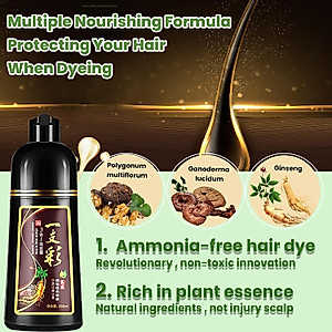 leorx 500ML(Extra) Coffee (Brown) Herbal Hair Dyeing Shampoo 10-Min Natural plant hair colorants Unisex Ammonia Free 3-in-1 Multi-Color Shampoo