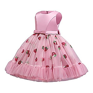 Baby Girls Sleeveless Floral Lace Shiny Strawberry Embroidery Princess Bridesmaid Dress for Baby Flower Ruffles Tulle Communion Baptism Holiday Dance Evening Short Gown Bean Pink 5-6X