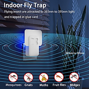 Fruit Fly Traps for Indoors, Plug-in Flying Insect Trap, Fly Catcher Indoor for Mosquito, Fruit Flies, Gnats, Moths, Gnat Killer Indoor, Gnat Traps, Bug Traps Fly Traps Indoor for Home