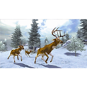 Cabela's Monster Buck Hunter - Software Only - Nintendo Wii