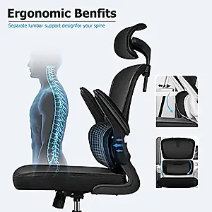 Razzor Ergonomic Office Chair, High Back Mesh Desk Chair with Lumbar Support and Adjustable Headrest, Computer Gaming Chair, Executive Swivel Chair for Home Office
