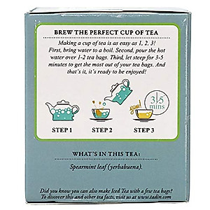 Tadin Spearmint Tea, Helps Relieve Stomach Pain and Indigestion, 24 Count (Pack of 3)