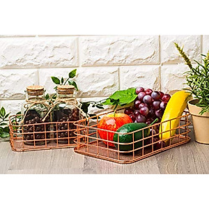 Metal Storage Baskets, Copper Wire Basket Organizer (Rose Gold, 2 Piece Set)