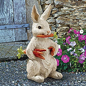 Design Toscano EU1054 Carotene The Rabbit with Carrots Easter Decor Garden Statue, 12 Inch, Full Color