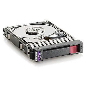 HP 146GB 15K 6G 2.5 SAS DP HDD 146 sas 16 MB Cache 2.5-Inch Internal Bare or OEM Drives