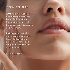 Bioelements Moisture Positive Cleanser - Rich Facial Cleanser for Dry Skin - Vegan, Gluten Free - Never Tested on Animals, 6 Fl Oz (Pack of 1)