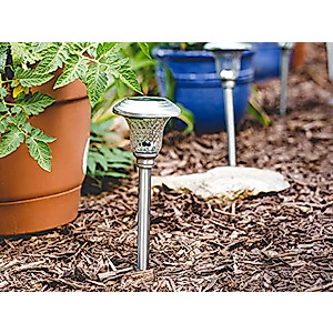 Signature Garden Solar Garden Lights - Auto On/Off Outdoor Bright Solar Pathway Lights - All-Weather/Waterproof Outdoor Solar Lights for Yard, Garden, or Driveway (8-Pack, Stainless Steel Silver)