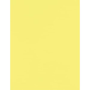 LUXPaper 8.5" x 11" Paper | Letter Size | Pastel Canary Yellow | 60lb. Text | 50 Qty
