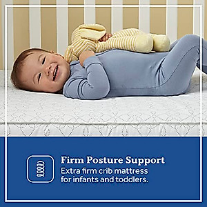Sealy Perfect Rest Extra Firm Baby Crib Mattress and Toddler Mattress, Waterproof Crib Mattress, 150 Premium Coils, Made in USA, 52"x28", Grey, 1 Count (Pack of 1)