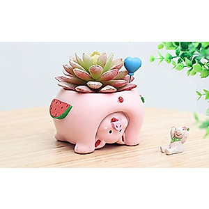 Youfui Cute Animal Flowerpot Animal Resin Succulent Planter Desk Mini Ornament (Pig)