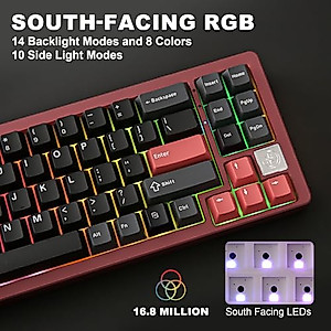 YUNZII AL71 75% Mechanical Keyboard,Full Aluminum CNC,Hot Swappable Gasket,2.4GHz Wireless BT5.0/USB-C Wired,NKRO Programmable RGB Backlight Creamy Typing for Win/Mac(Red,Crystal White Switch)