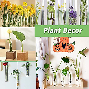 18 PCS 115ml Clear Plastic Test Tubes,150 x 33mm Flat Test Tube,Plastic Test Tube with Screw Caps and 1 Cleaning Brush for Bath Salt,Candy Storage,Science Party Favors,Wedding Decor