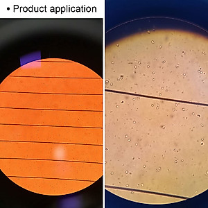 SHAUSE Hemocytometer Blood Count Glass Blood Cell Counting Chambers with 100 Coverslips