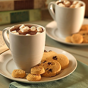 Augason Farms Morning Moo's Chocolate Low Fat Milk Alternative Can, Emergency Food Supply, Everyday Meals, 67 Servings