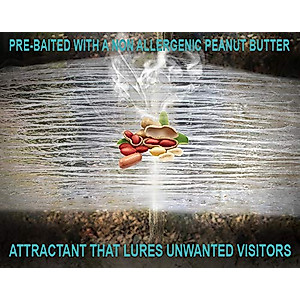 Kat Sense Sticky Rat Traps 'N Mouse Glue Traps That Work for Trapping Snakes Spiders Roaches N Other Rodents, 2 XL Large Heavy Duty Clear Pre Baited Mats, Indoor Outdoor Non Multi Catch Pest Trap