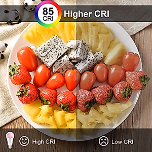 ILC Color Changing LED Light Bulb, 120 Colors, 2700K Warm White, 70 Watt Equivalent, DIY Strobe, RGB with Remote Control, LED 10W A19 E26 Screw (Pack of 2)