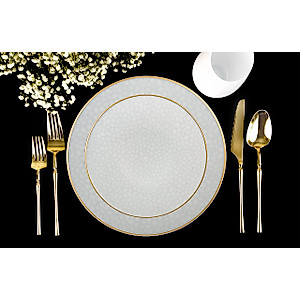 PLASTICPRO 30 Pack Hammered Plastic Plates Heavyweight Disposable Plastic Plates Elegant Transparent White With Gold Rim Platsic Party Dishes (Transparent White With Gold Rim, 9'' INCH PLATES)